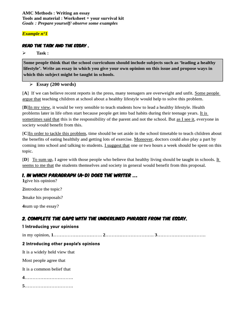 Amc Methods Essay | PDF | Essays | Cognition