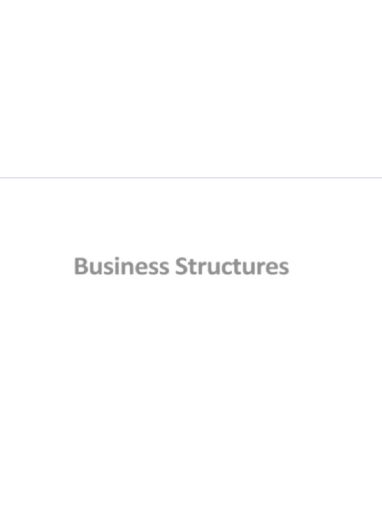 Business Structure Pdf