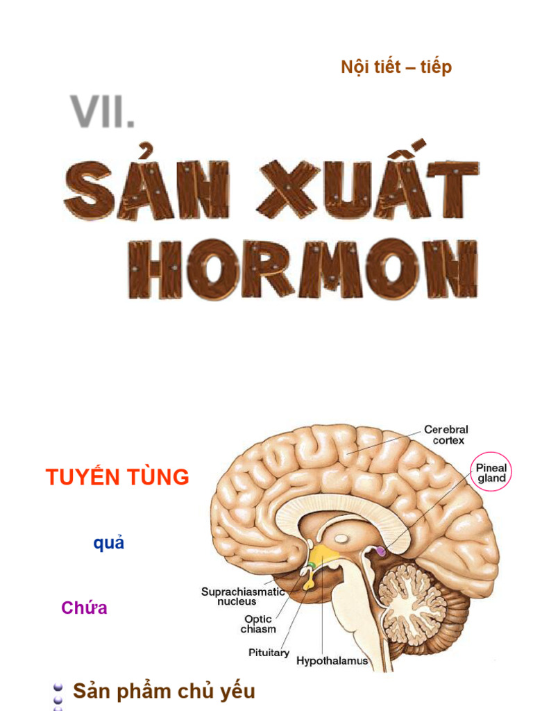 sinh-li-dong_thay-ngoc_25.sl-noi-tiet-2015- - [cuuduongthancong.com] | PDF