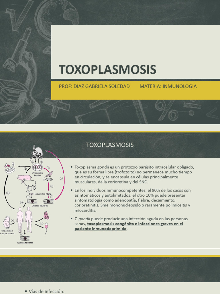 Toxoplasmosis 1 | PDF | Anticuerpo | Enfermedades y trastornos