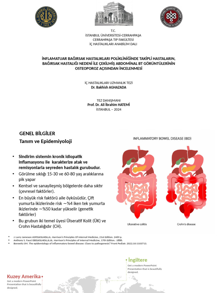 Diagnosing Osteoporosis From Abdominal BT Scan | PDF