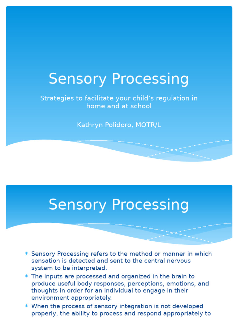 Sensorypresentation Pdf Senses Perception