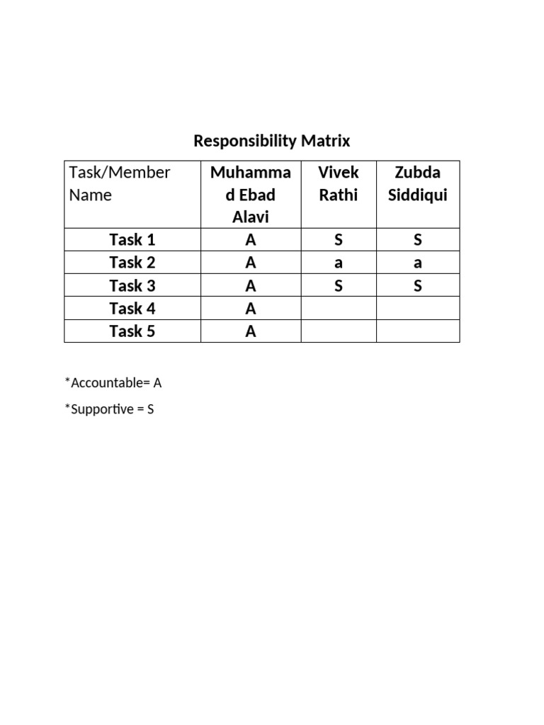 Responsibility Matrix | PDF