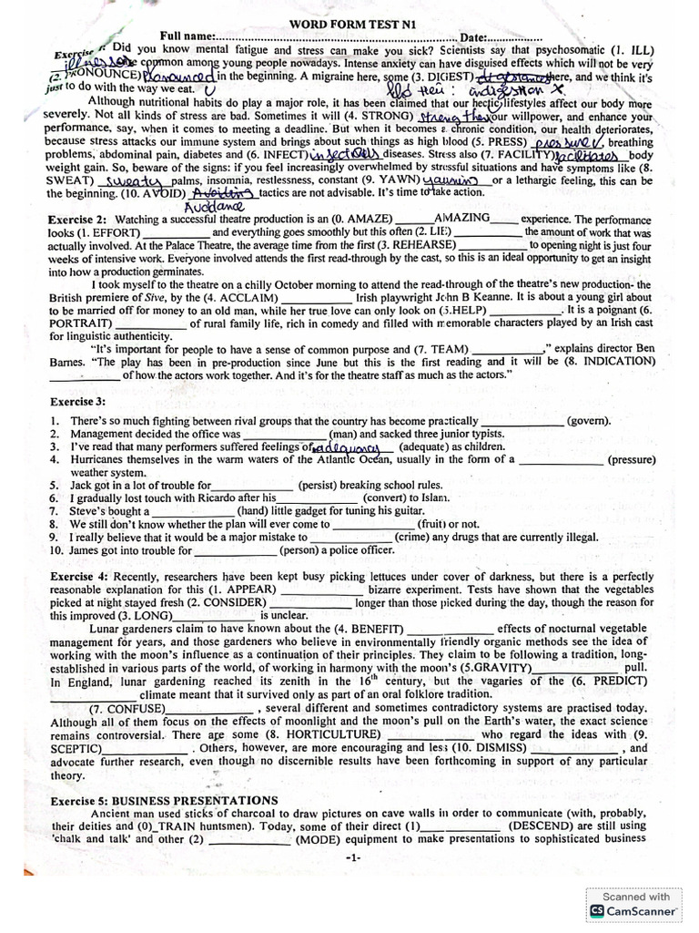 Word Formation+Rewrite Sentences | PDF