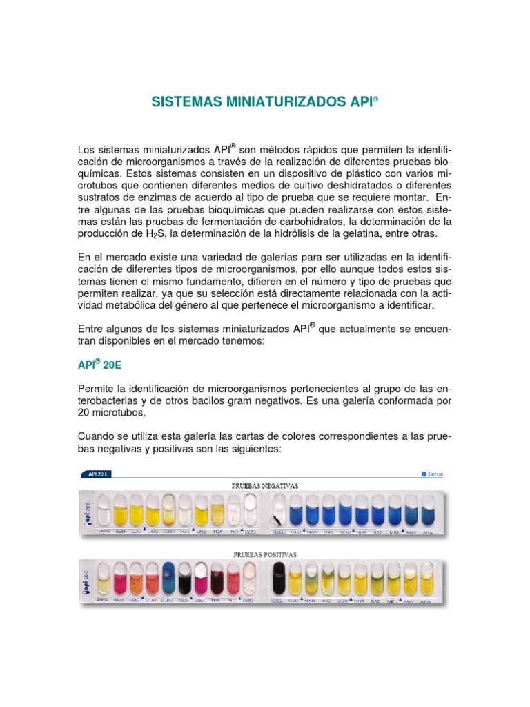 Sistema Miniturizado API-biomerieux | PDF | Bacterias Gram-negativo ...
