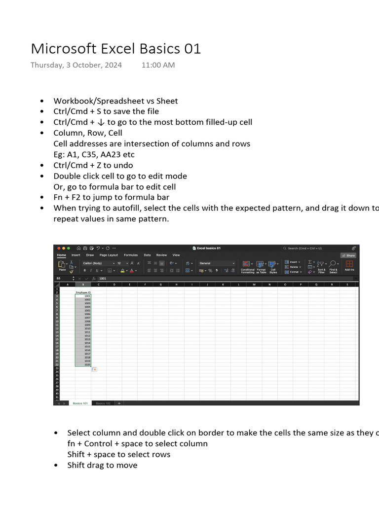 Excel Basics: Essential Shortcuts Guide | PDF