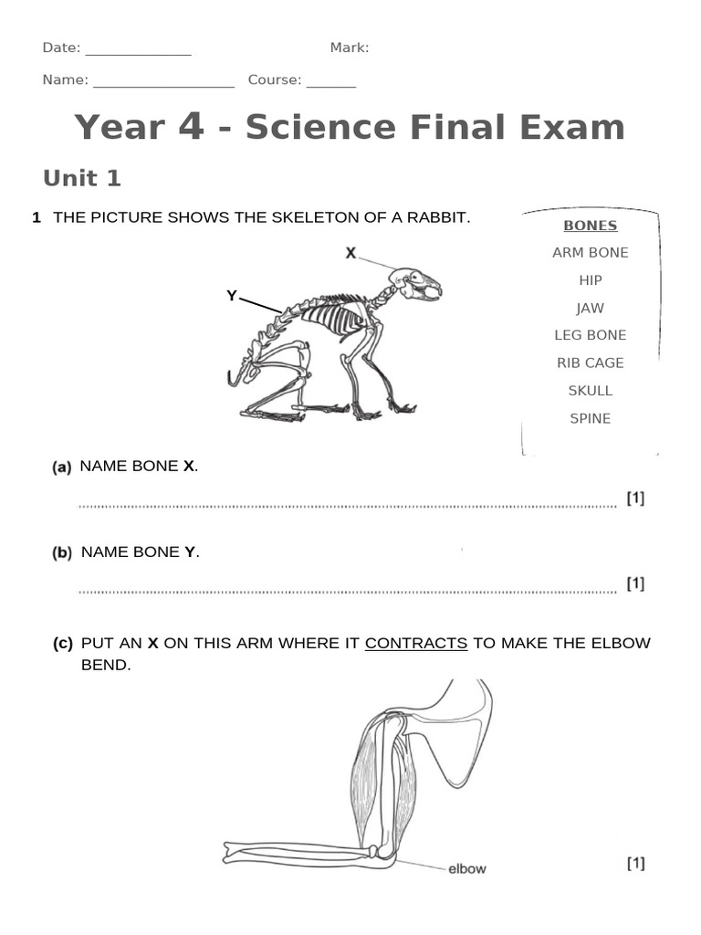 4th - Science Final Exam - ADAPTED VERSION | PDF | Earth | Light