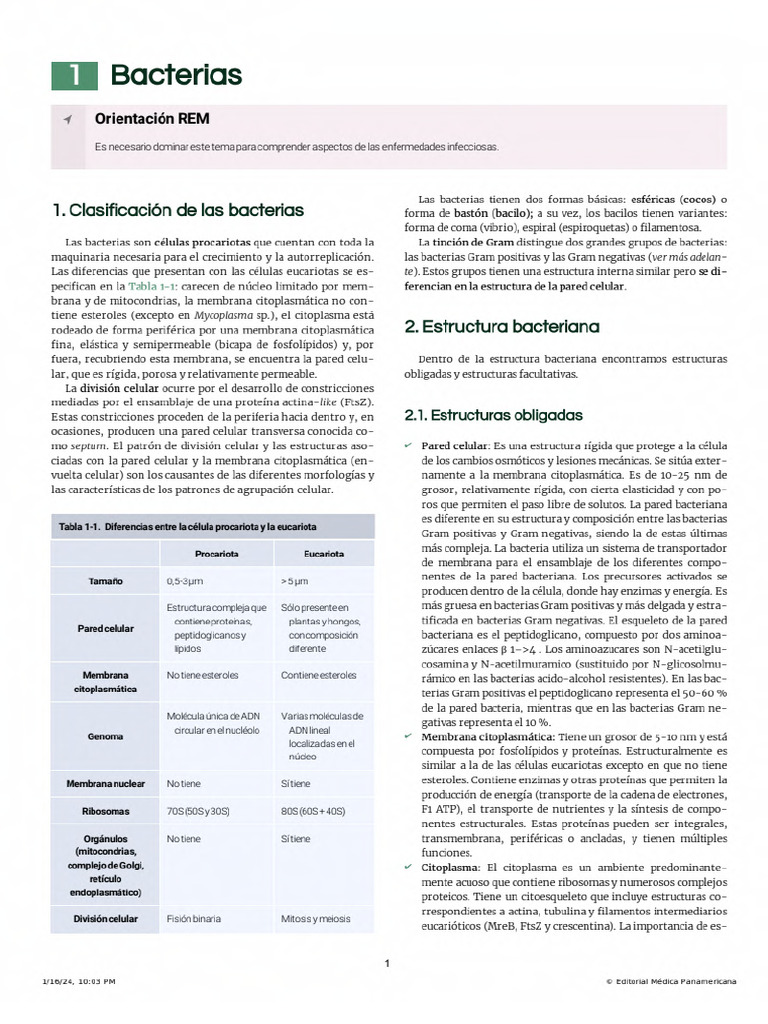 Infecto Prorem 2024 | PDF
