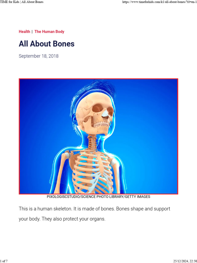 TIME For Kids - All About Bones | PDF | Bone | Musculoskeletal System