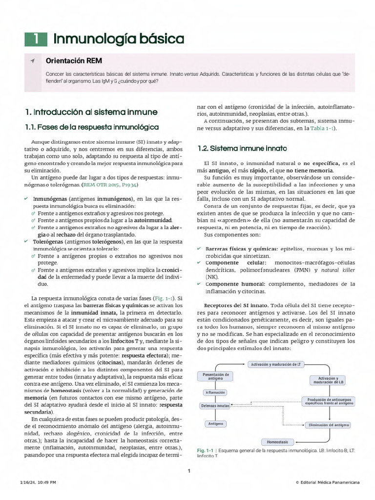 INMUNO PROREM 2024 | PDF