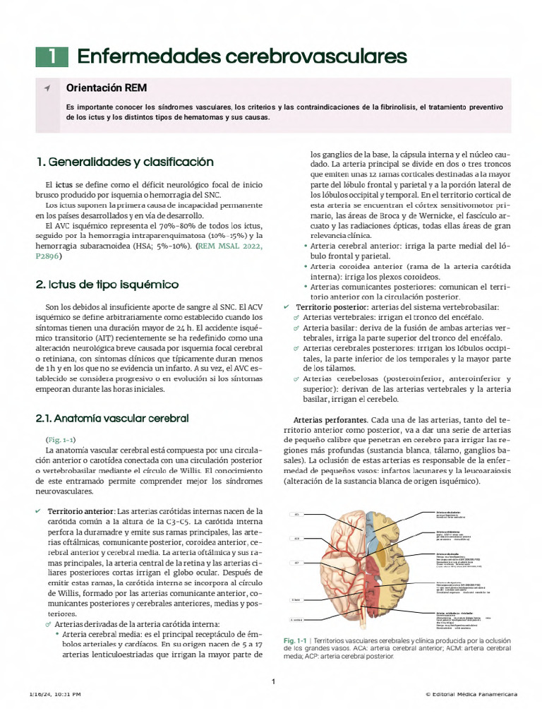 Neuro Prorem 2024 | PDF