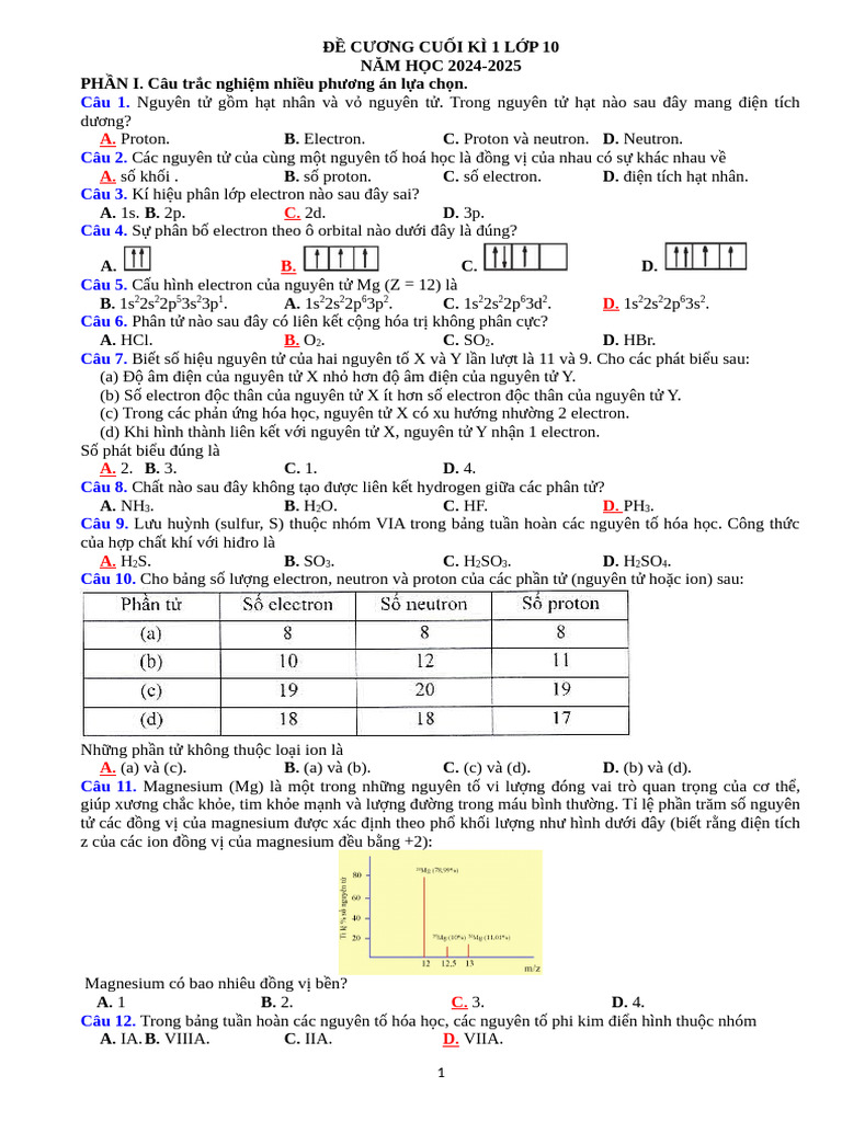 ĐỀ CƯƠNG CK1 LỚP 10 | PDF