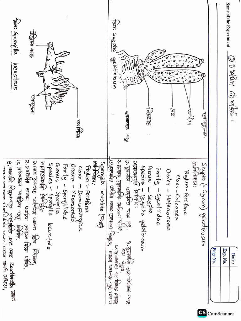 Biology 2nd Paper Practical Note | PDF