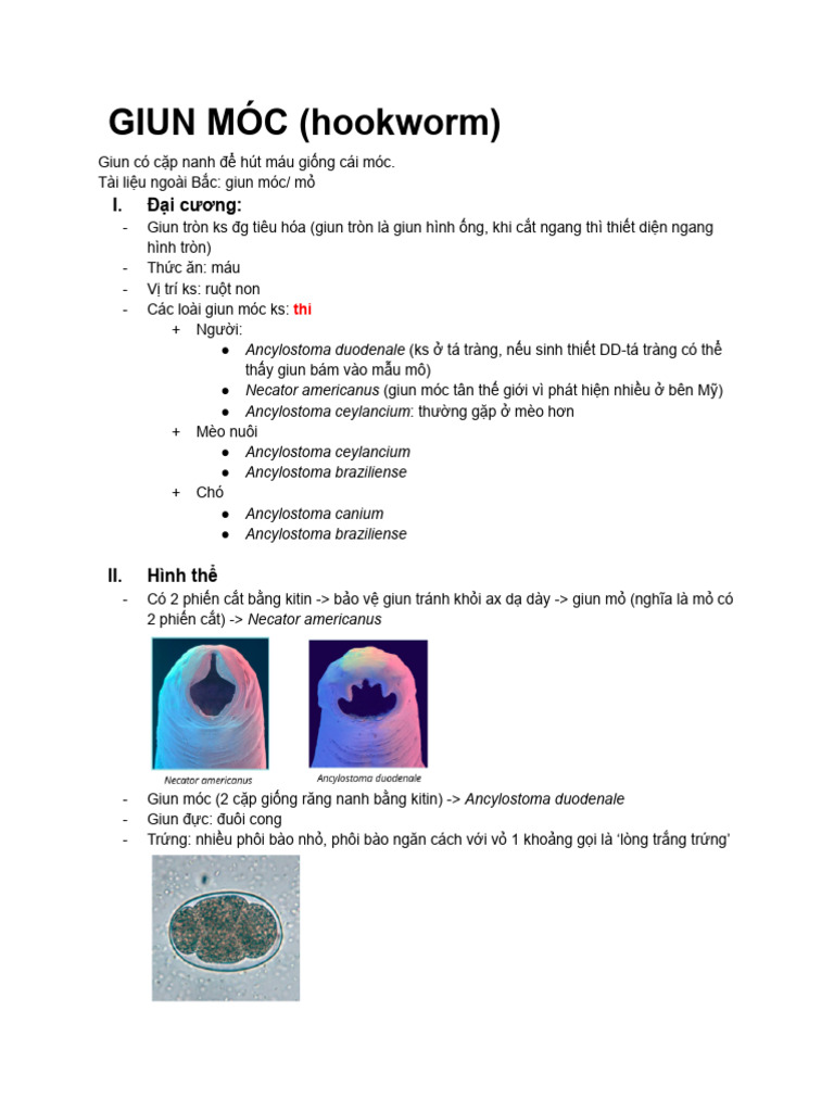 Giun Móc-Giun Lươn-Giun Tóc-Giun Kim | PDF