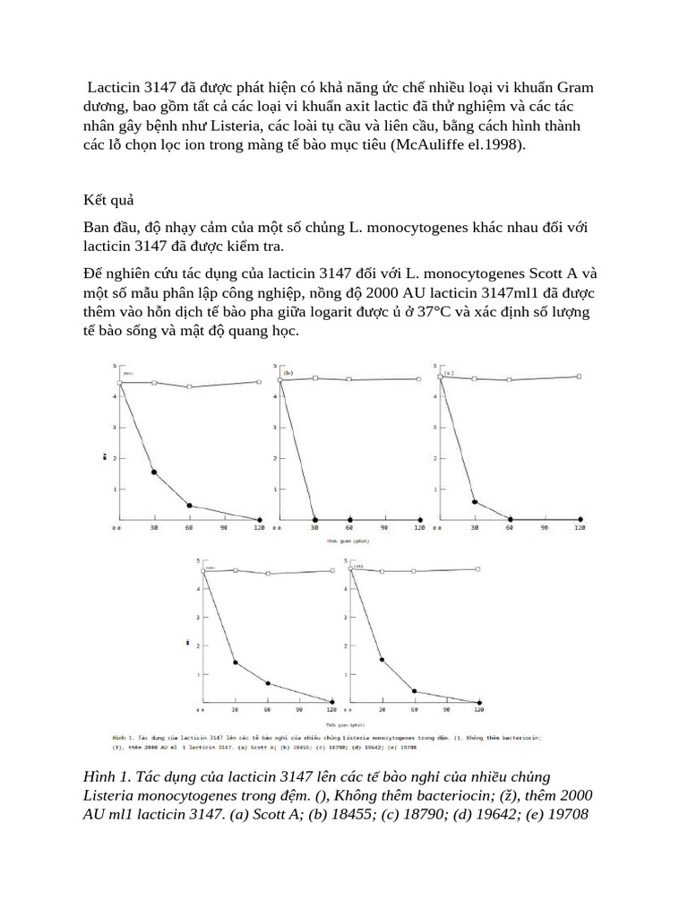 NG D NG C A 3147 | PDF