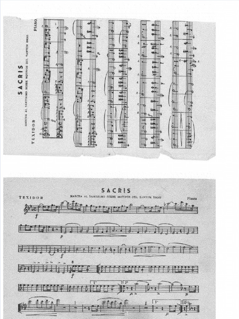 Dokumen - Tips Sacris-Texidor | PDF