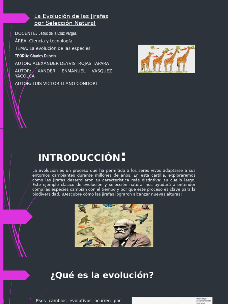 La Evolución de Las Jirafas Por Selección Natural XANDER 2 | PDF | Evolución | Seleccion natural