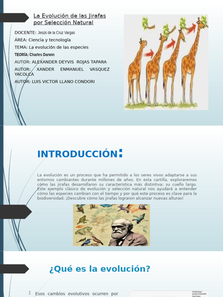 La Evolución de Las Jirafas Por Selección Natural | PDF | Evolución | Seleccion natural