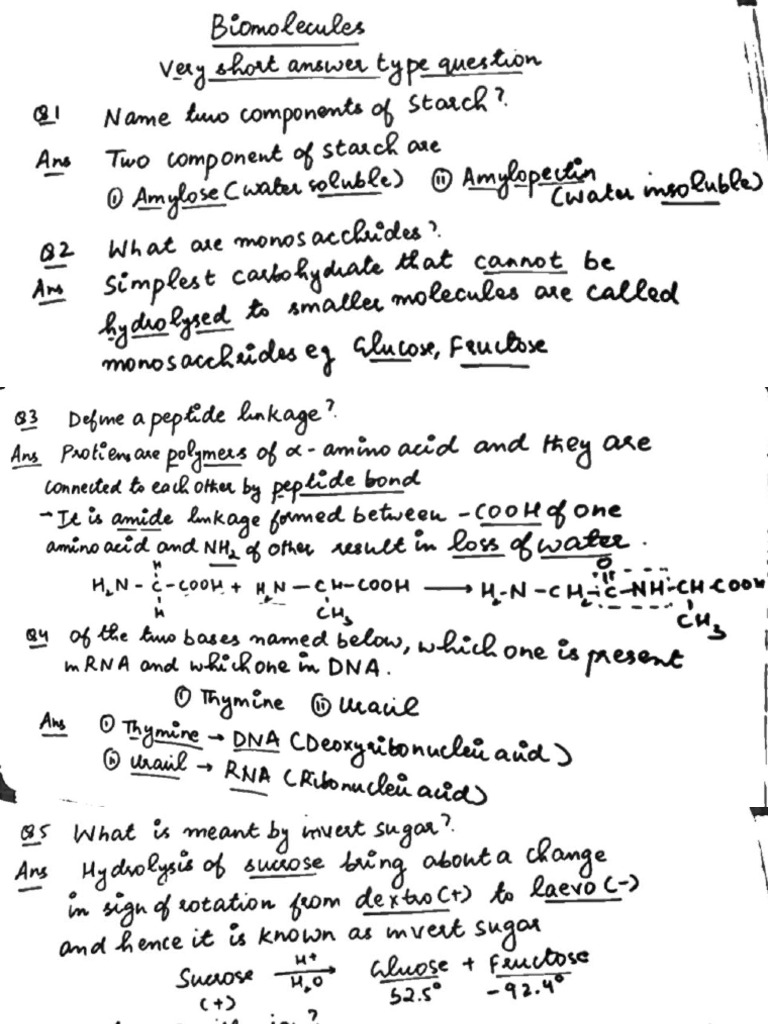 Biomolecules important questions | PDF