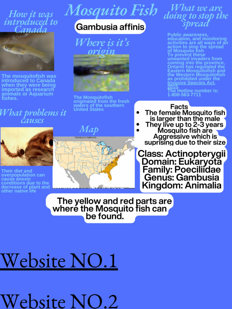 Science Invasive Species Project (83 x 24 in) (51 x 50 in) (1) | PDF