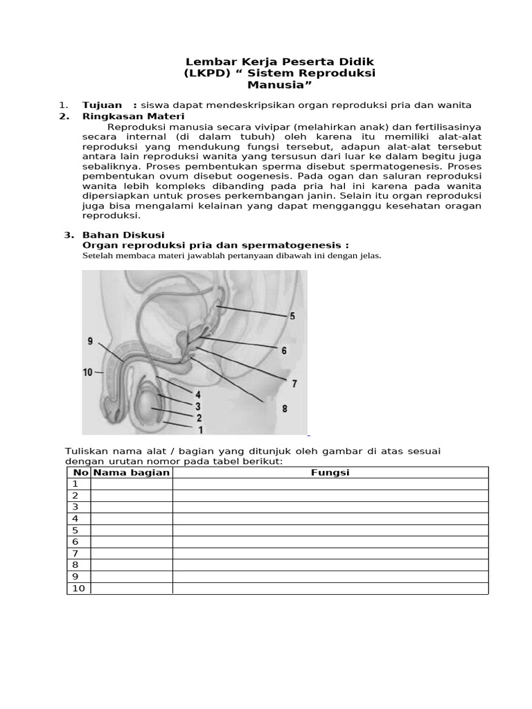 LKPD Sistem Reproduksi Manusia | PDF
