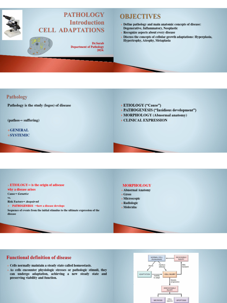 Lec 1 Introduction to Pathology and Cell Injury - Converted | PDF | Mitochondrion | Epithelium