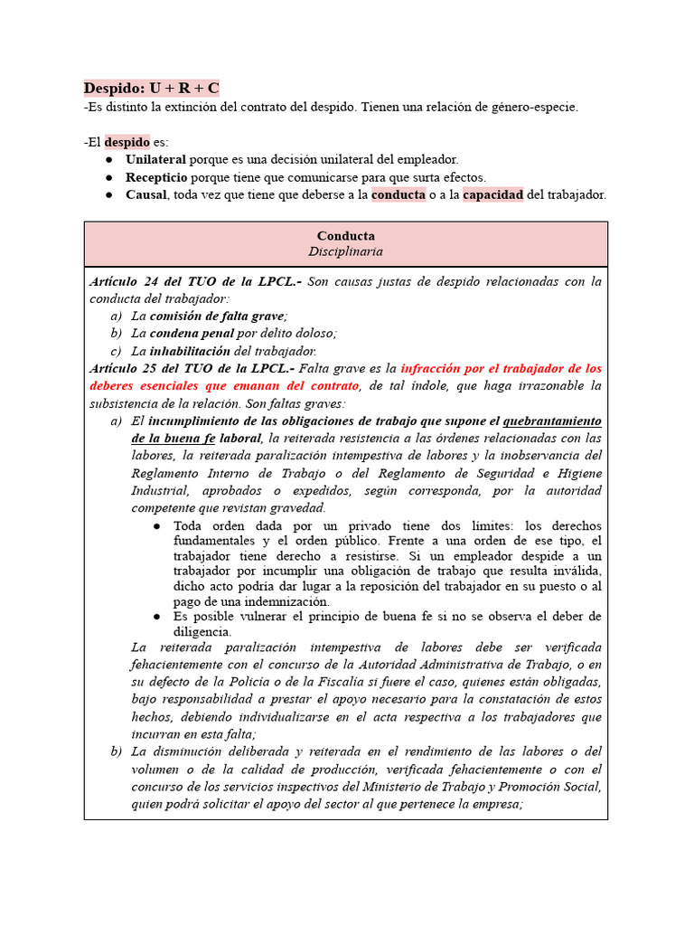 Despido Laboral Especial | PDF | Derecho laboral | Daños y perjuicios