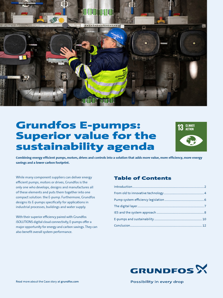 Learn E Pumps Whitepaper New2 en | PDF | Pump | Engines