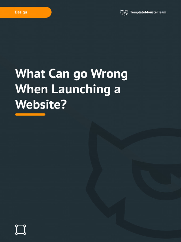 What can go wrong | PDF | Search Engine Optimization | Websites