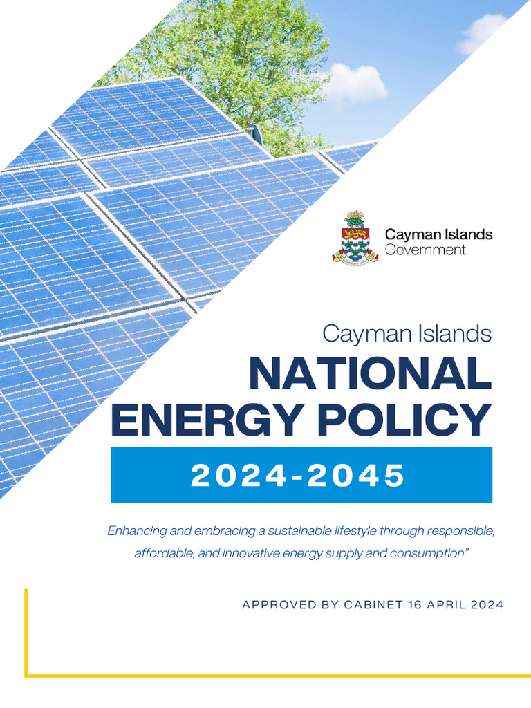 National Energy Policy 20242045 | PDF | Renewable Energy | Sustainability