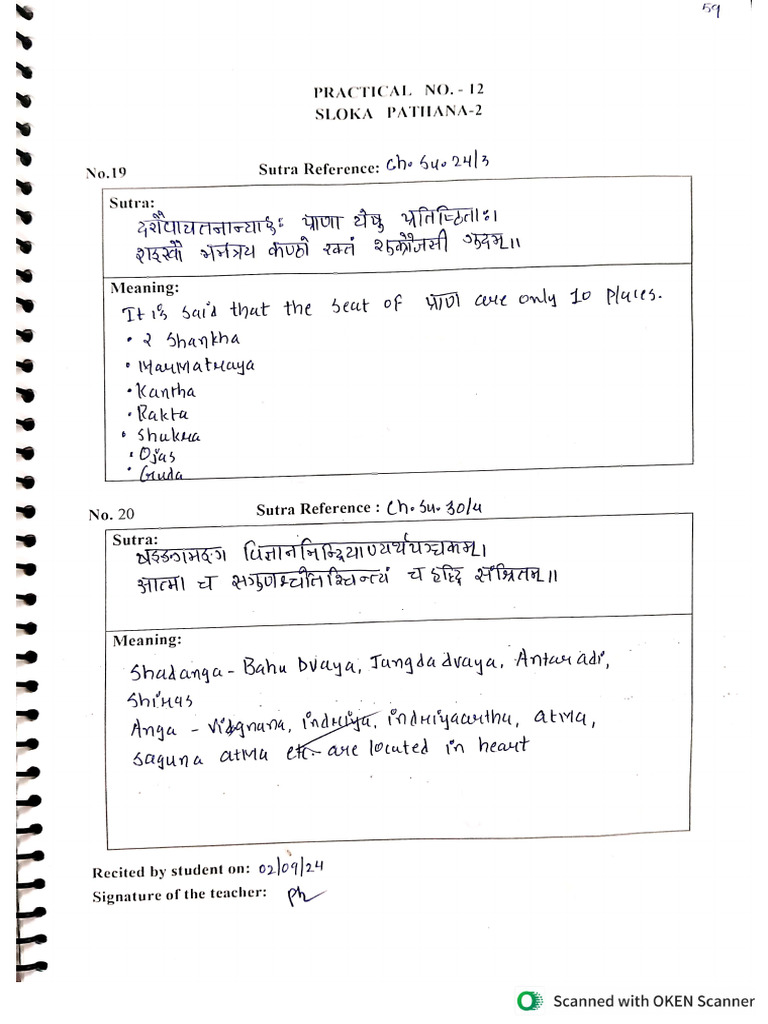 SA Journal - Term 2 | PDF