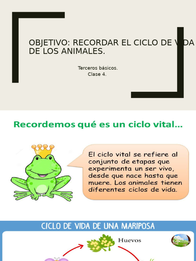 Ciclos de Vida | PDF