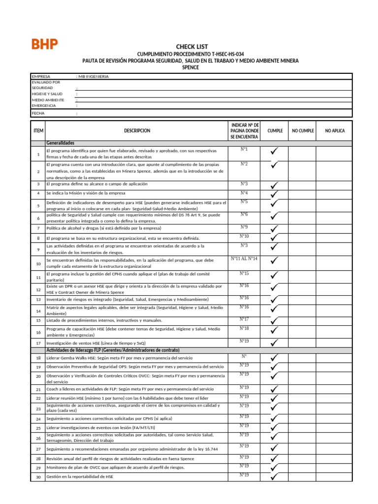 CHECK LIST PROGRAMA HSS 2025 | PDF | Auditoría | Business