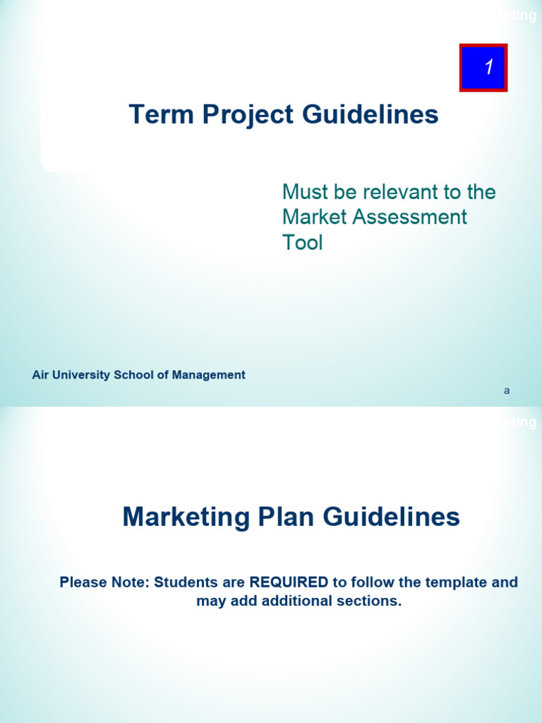 POM Term Project BBA f24 Eve | PDF | Marketing | Citation