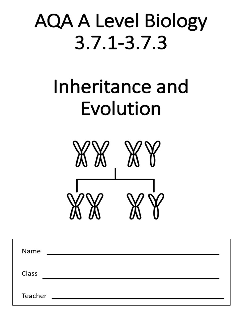 Inheritance and Evolution | PDF | Dominance (Genetics) | Allele
