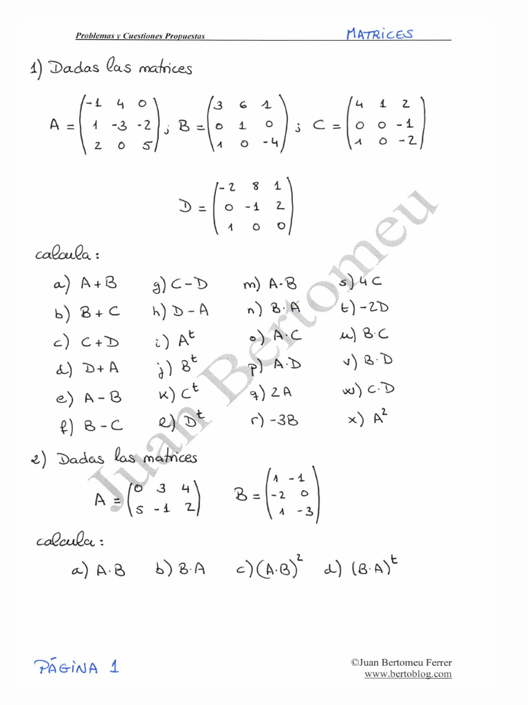 Problemas Propuestos Matrices | PDF