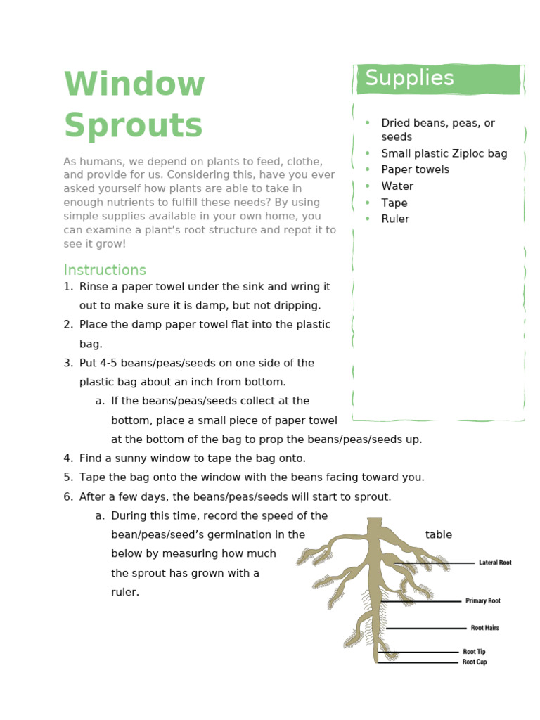 Window Sprouts Activity | PDF