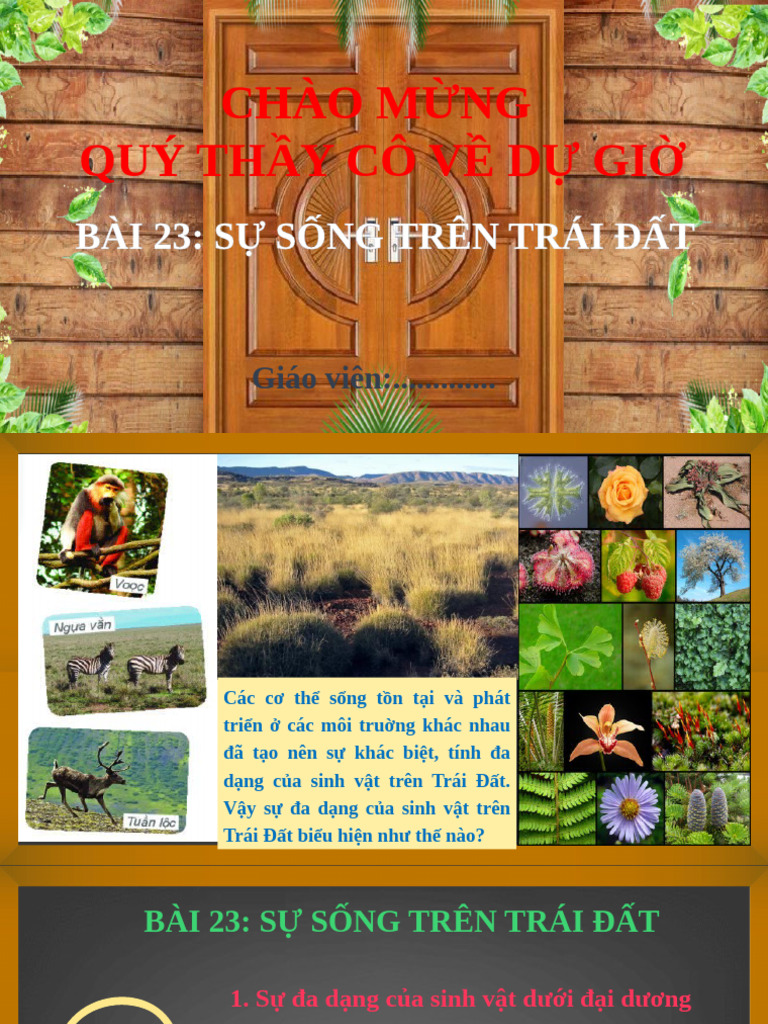 Dia Li 6 Bai 23 Ket Noi Tri Thuc | PDF