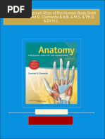 Astri - Neck Cailliet Exercise | PDF | Vertebral Column | Vertebra