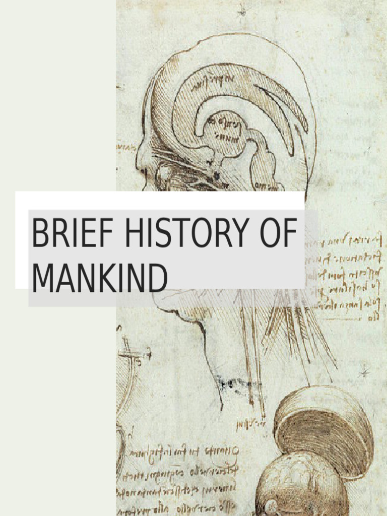 Overview of Human History | PDF | Civilization