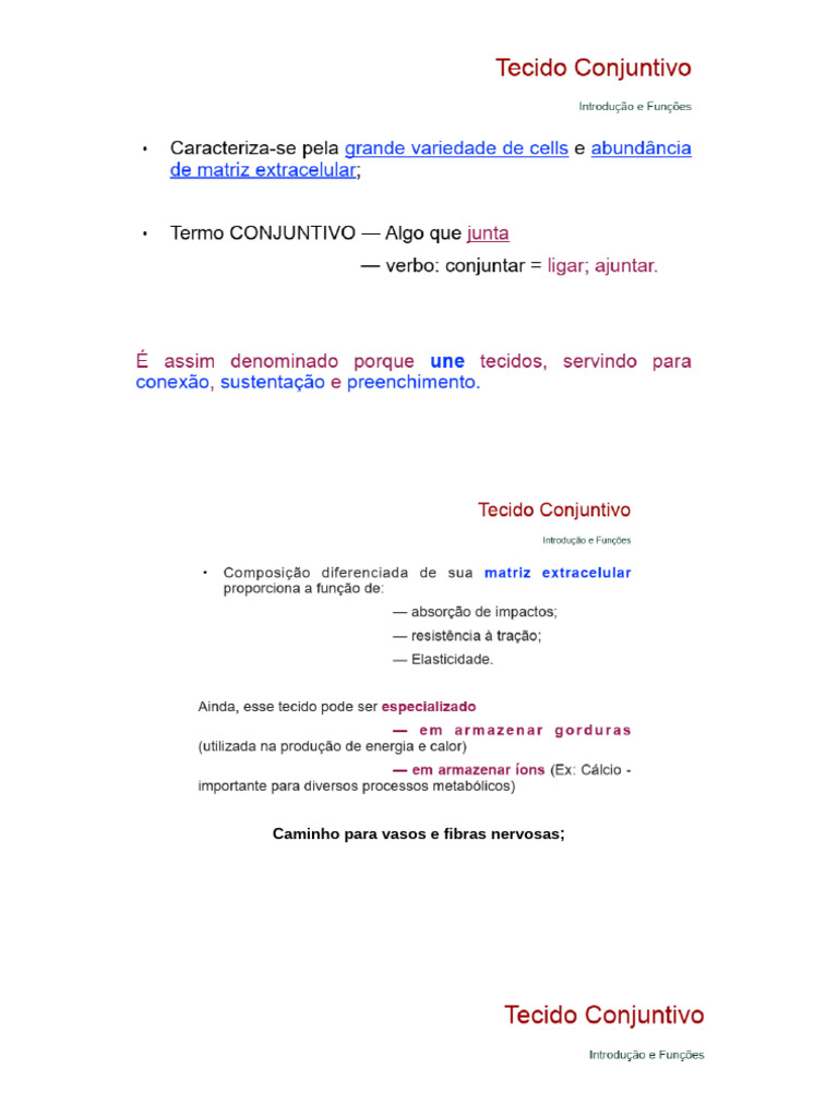 Tec Conj PDF | PDF