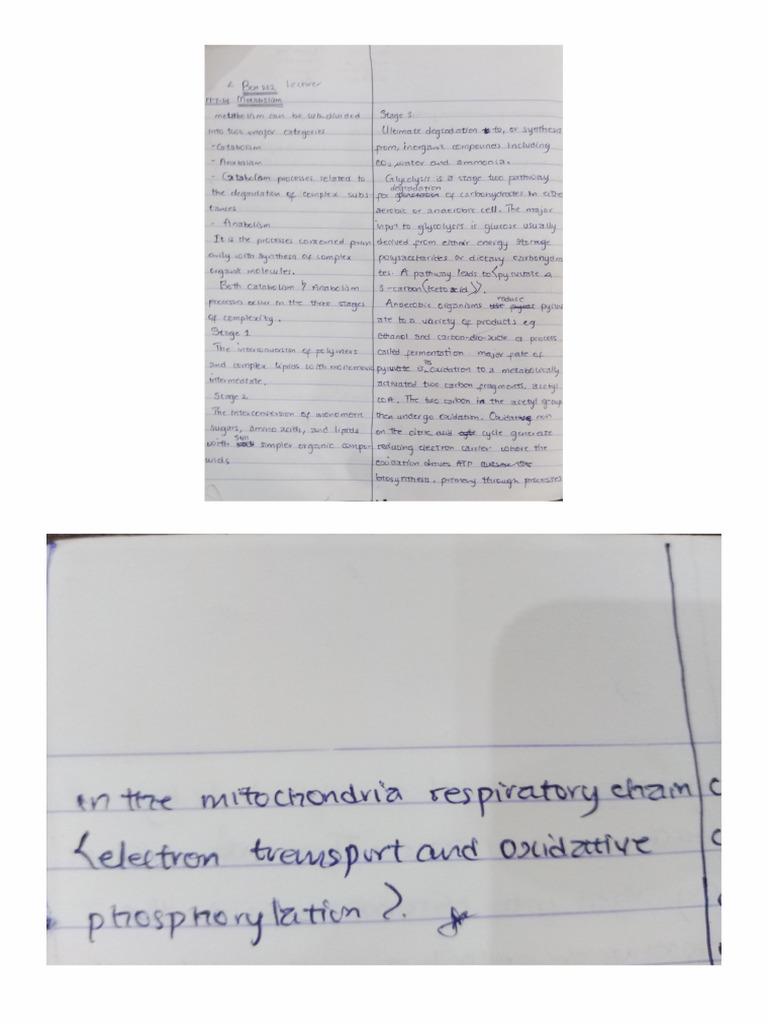 BCH 202 Class Note | PDF