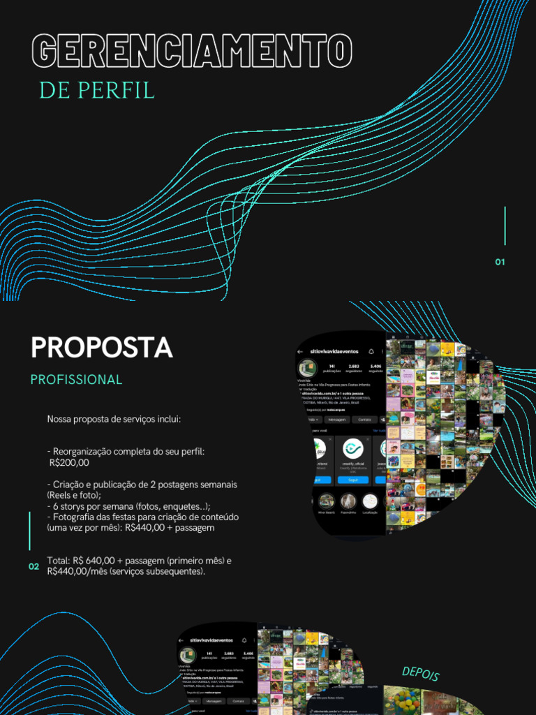 Gerenciamento de Perfil Proposta - 20241204 - 100057 - 0000 | PDF