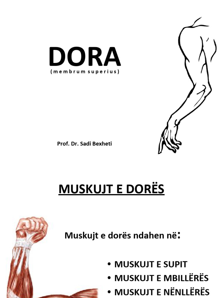 DORA2019 Muskjt | PDF