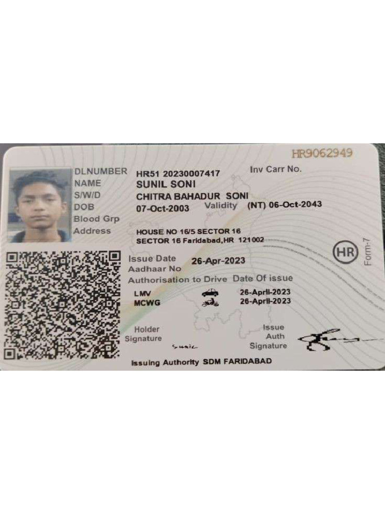 Driving licence | PDF