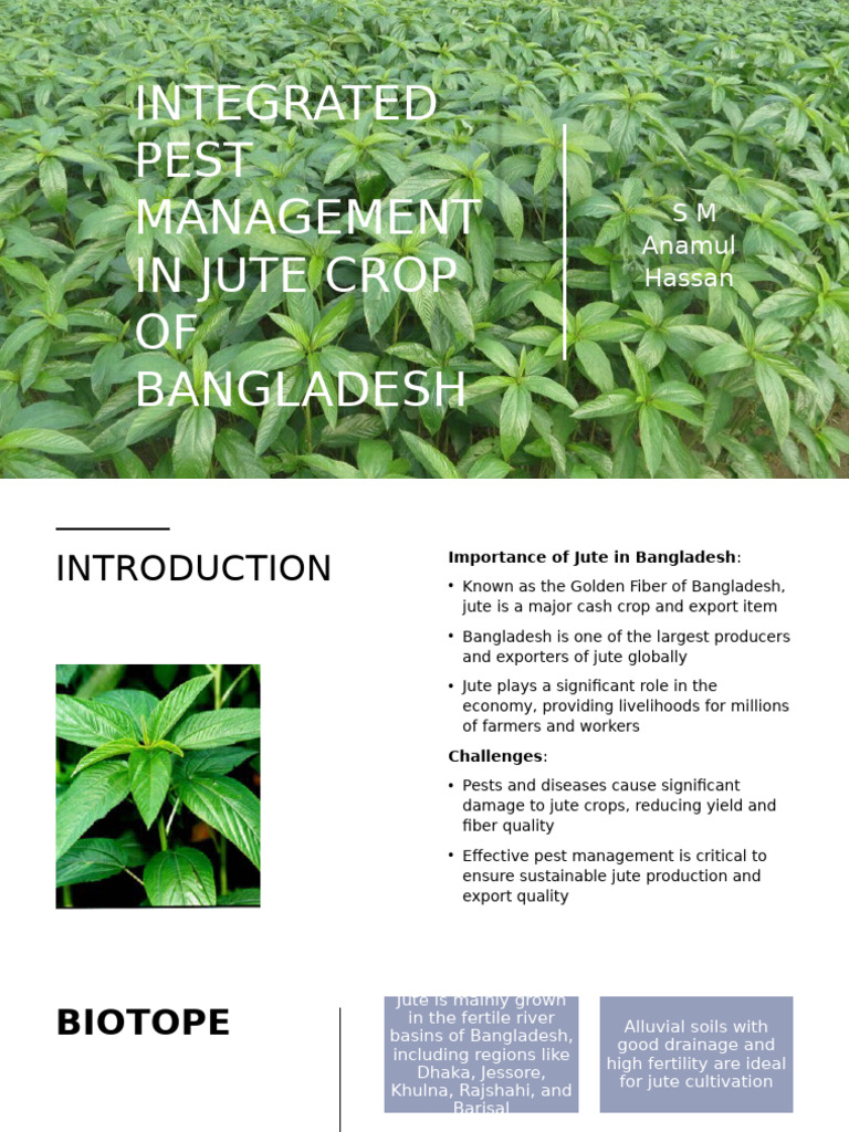 Integrated Pest Management in Jute Crop of Bangladesh | PDF | Pest ...