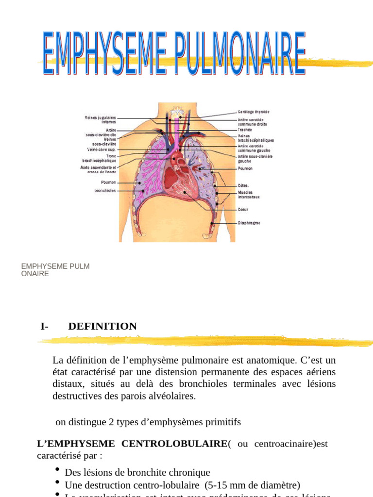 Emphysème centrolobulaire : définitions et traitements | PDF ...