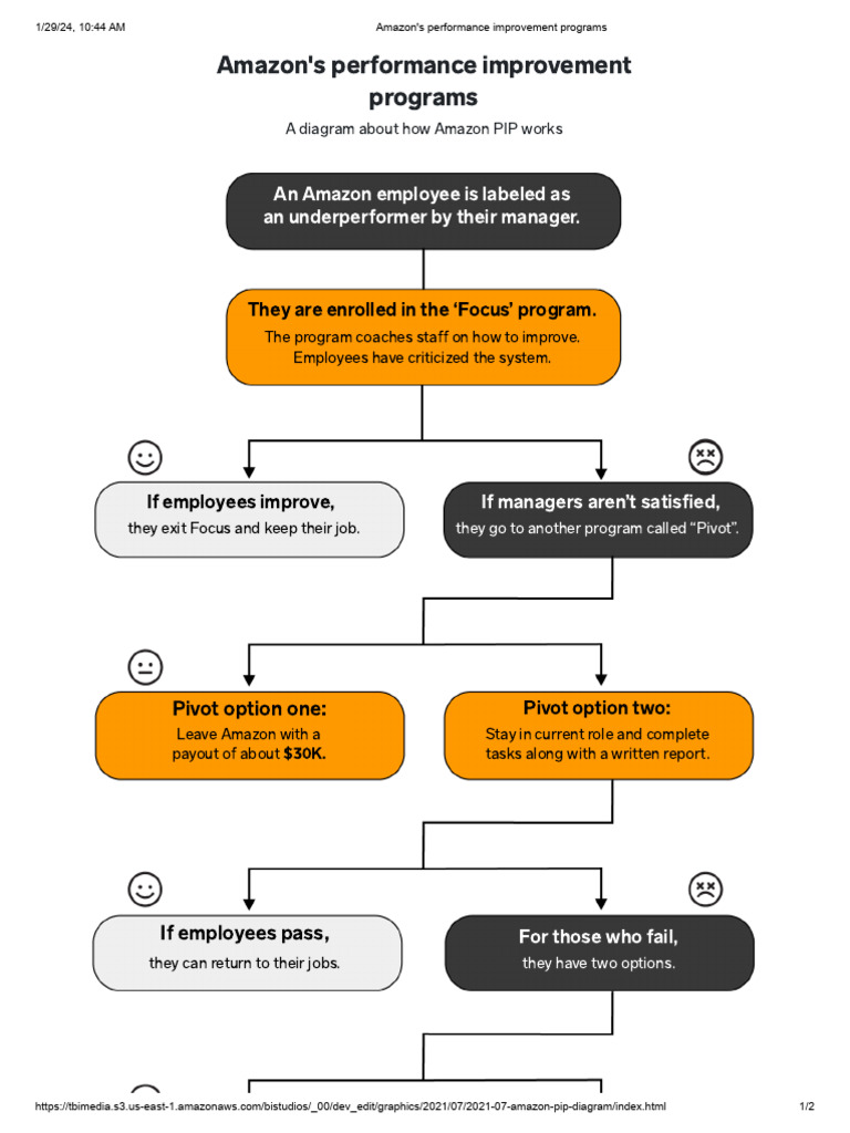 Amazon's Performance Improvement Programs | PDF | Business | Business Process Management