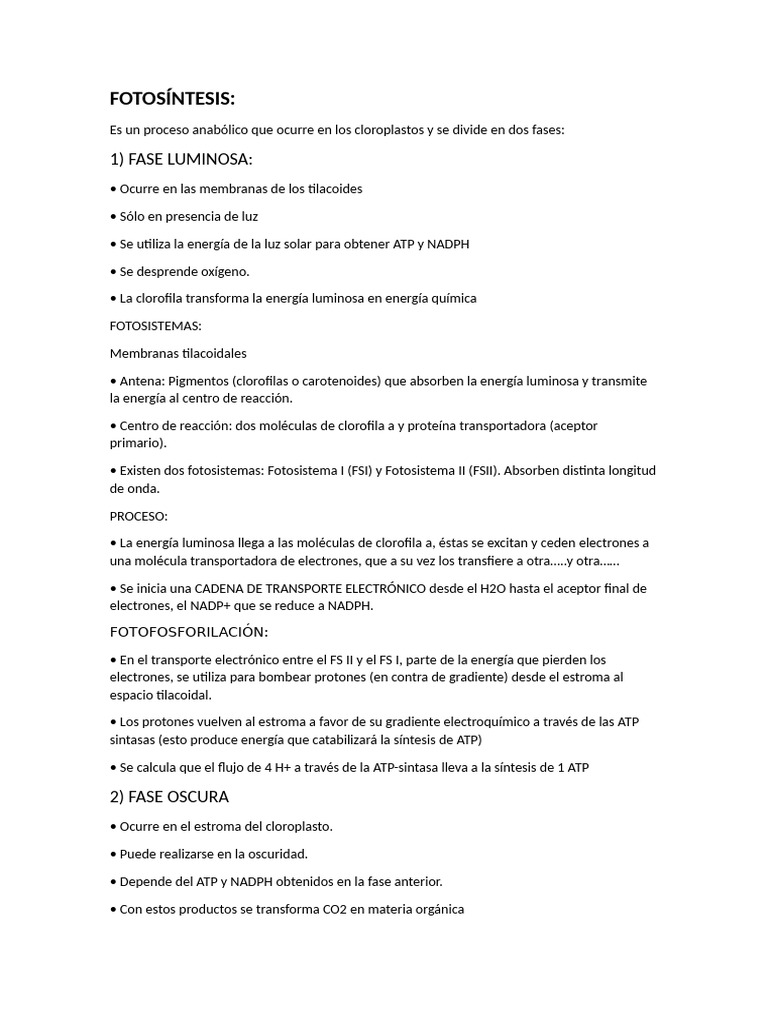 Fotosíntesis y Respiración Celular | PDF | Trifosfato de adenosina ...