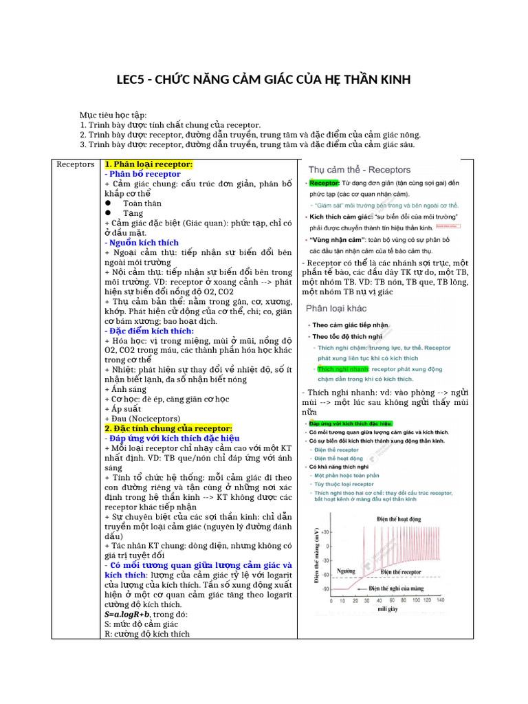 LEC5 - Chức năng vận động của tủy sống | PDF